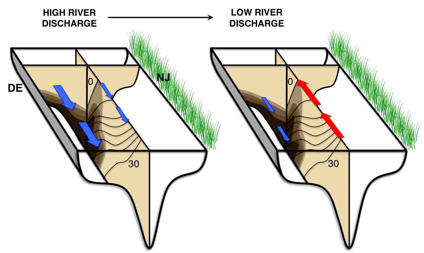 Estuarine Sediment Transport – Coastal Physical Oceanography at Stony Brook
